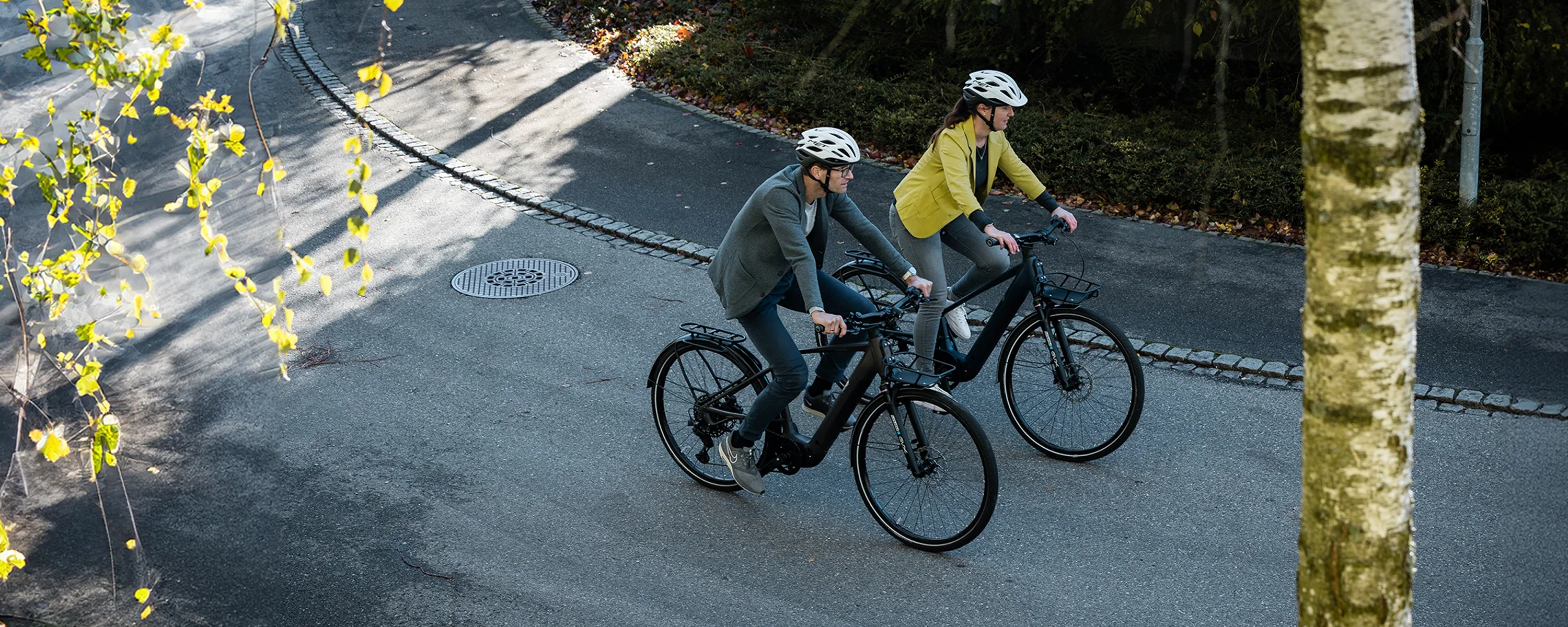 Cresta Bikes – thoemus-bikeworld